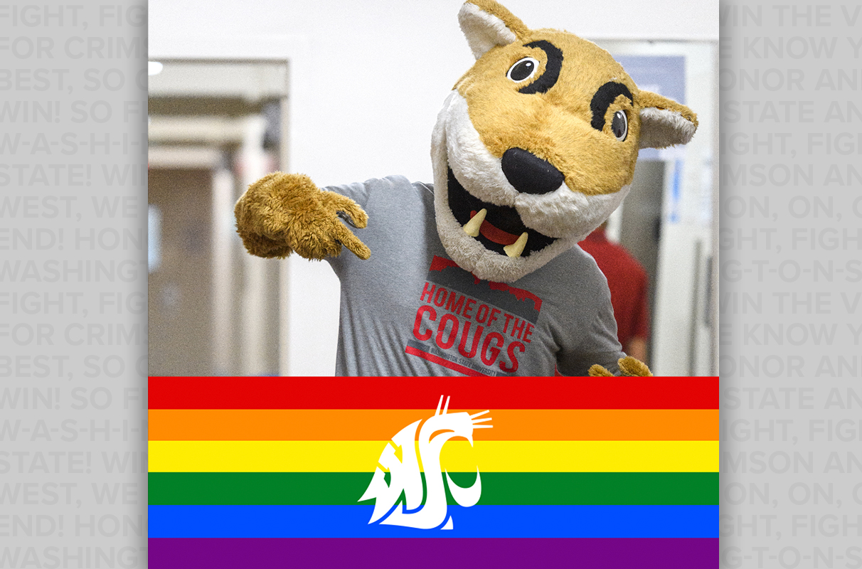 WSU-branded Pride Month photo frames and stickers now available | WSU ...