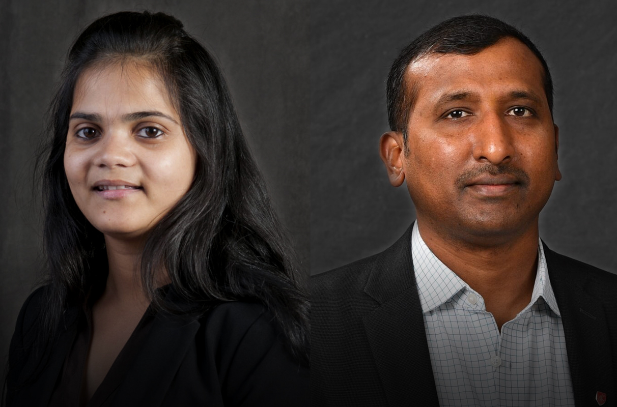 Two engineering professors named Huie-Rogers Endowed Chairs | WSU ...