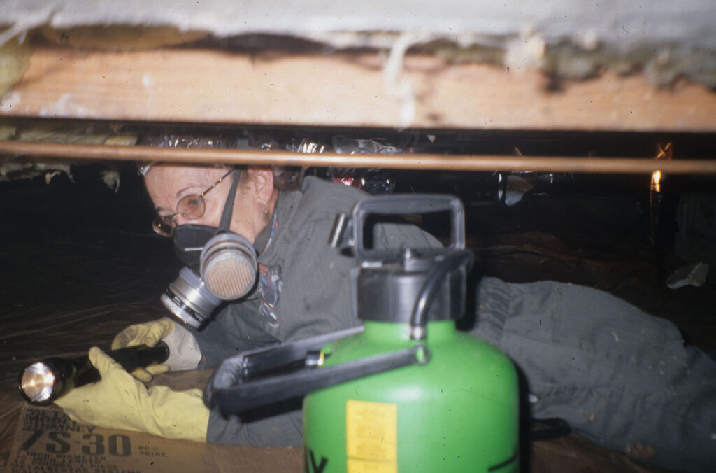 New entomology scholarship honors WSU adjunct professor, alumna Laurel ...