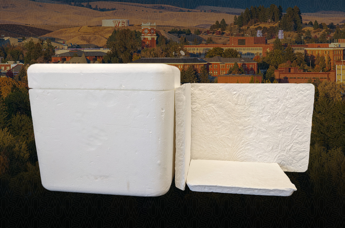 Licensing deal aims for environmentally friendly foams | WSU Insider ...