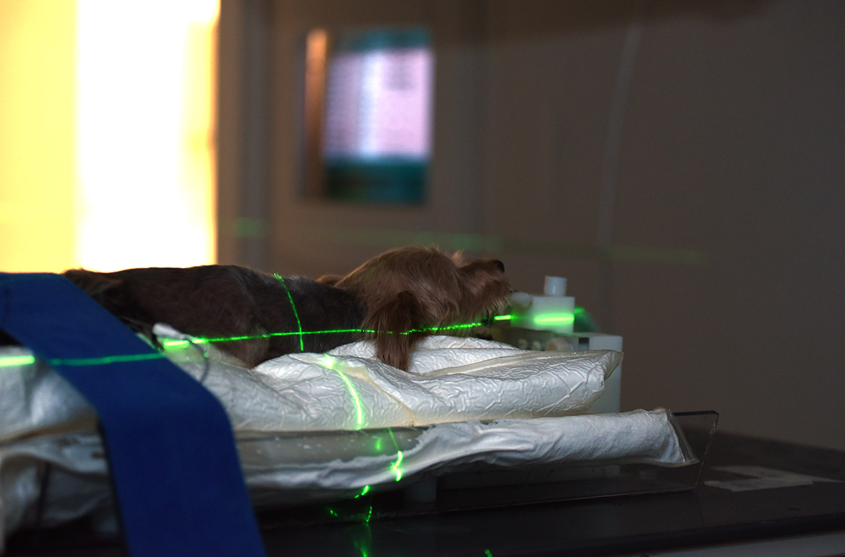 Genetic discovery could lead to better treatments for common tumor in ...