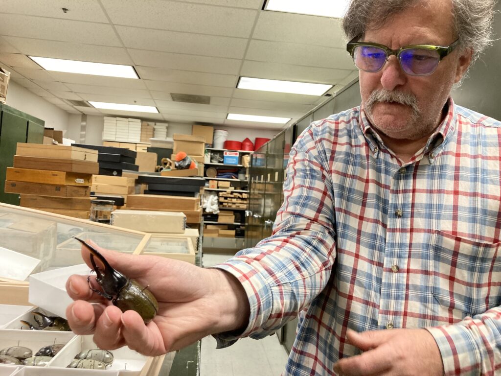 Look inside WSU’s collection of 3 million insects | WSU Insider ...