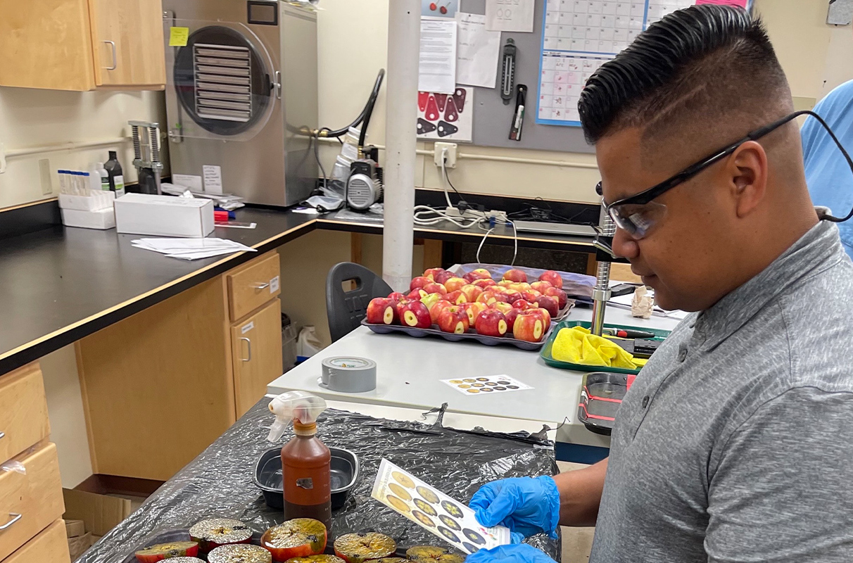 WSU intern to spend year exploring the science behind agriculture | WSU Insider | Washington ...