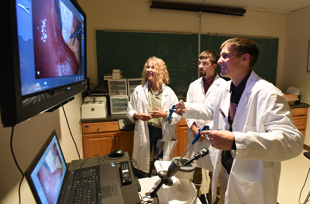 WSU veterinarian brings virtual reality to laparoscopic surgery | WSU ...