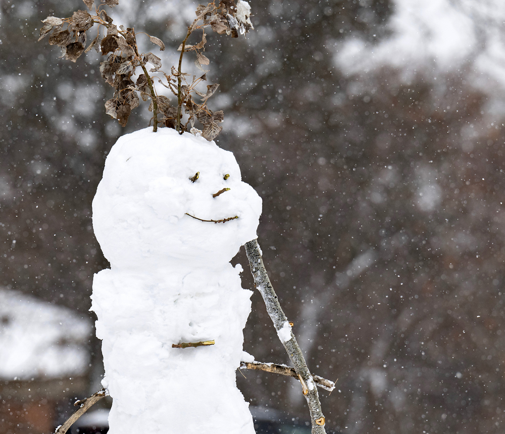 Major snowstorm heralds winter’s arrival across university system | WSU ...