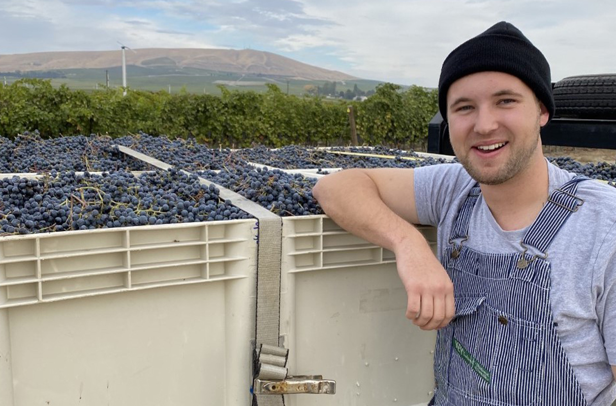 Student-created wines blend well with holiday celebrations | WSU ...