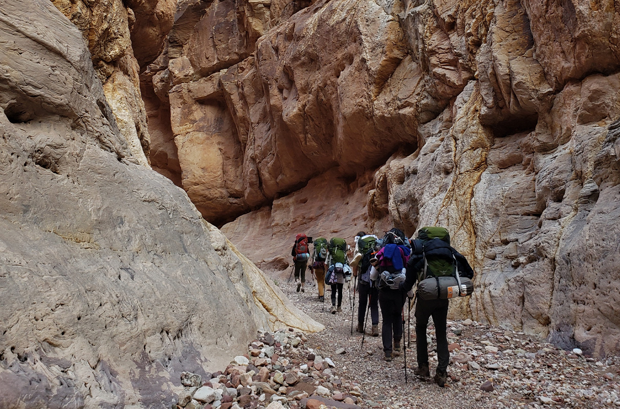 UREC training helps Cougs rescue injured Grand Canyon hiker | WSU ...