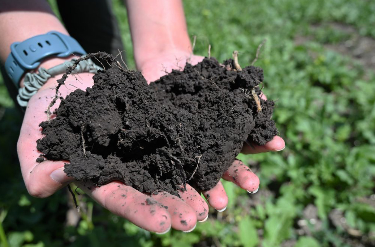 WSU soil researchers seed long-term projects across Washington | WSU ...