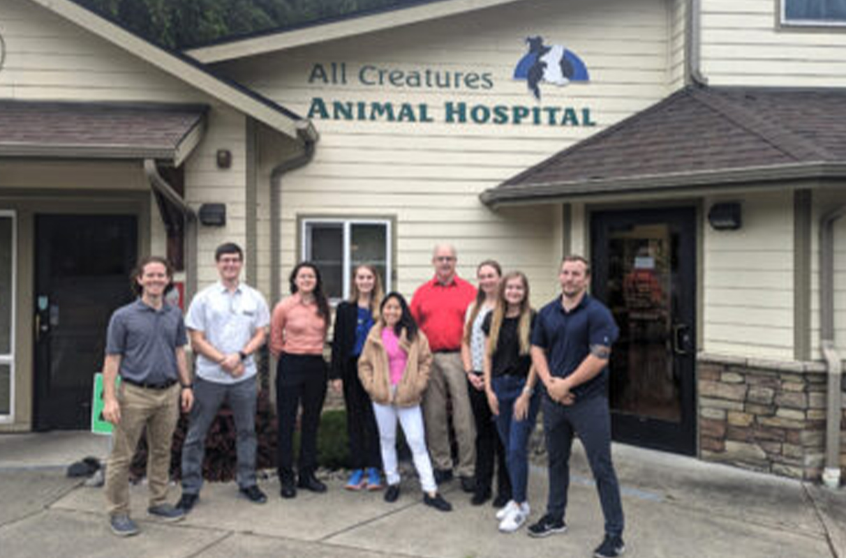 Practice management curriculum gives veterinarians a head start | WSU ...