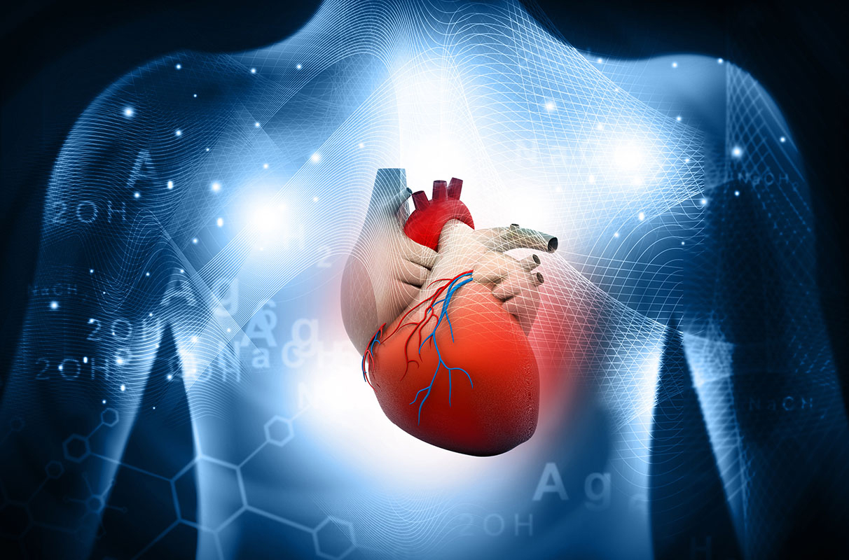 Protein discovery could help prevent cancer treatment-related heart ...