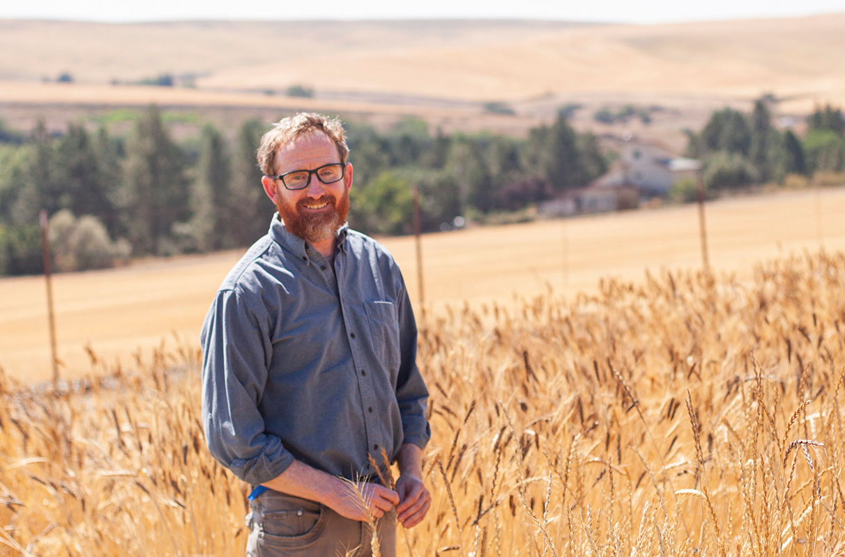 New Clif Bar and King Arthur Baking Company Endowed Chair to lead WSU ...