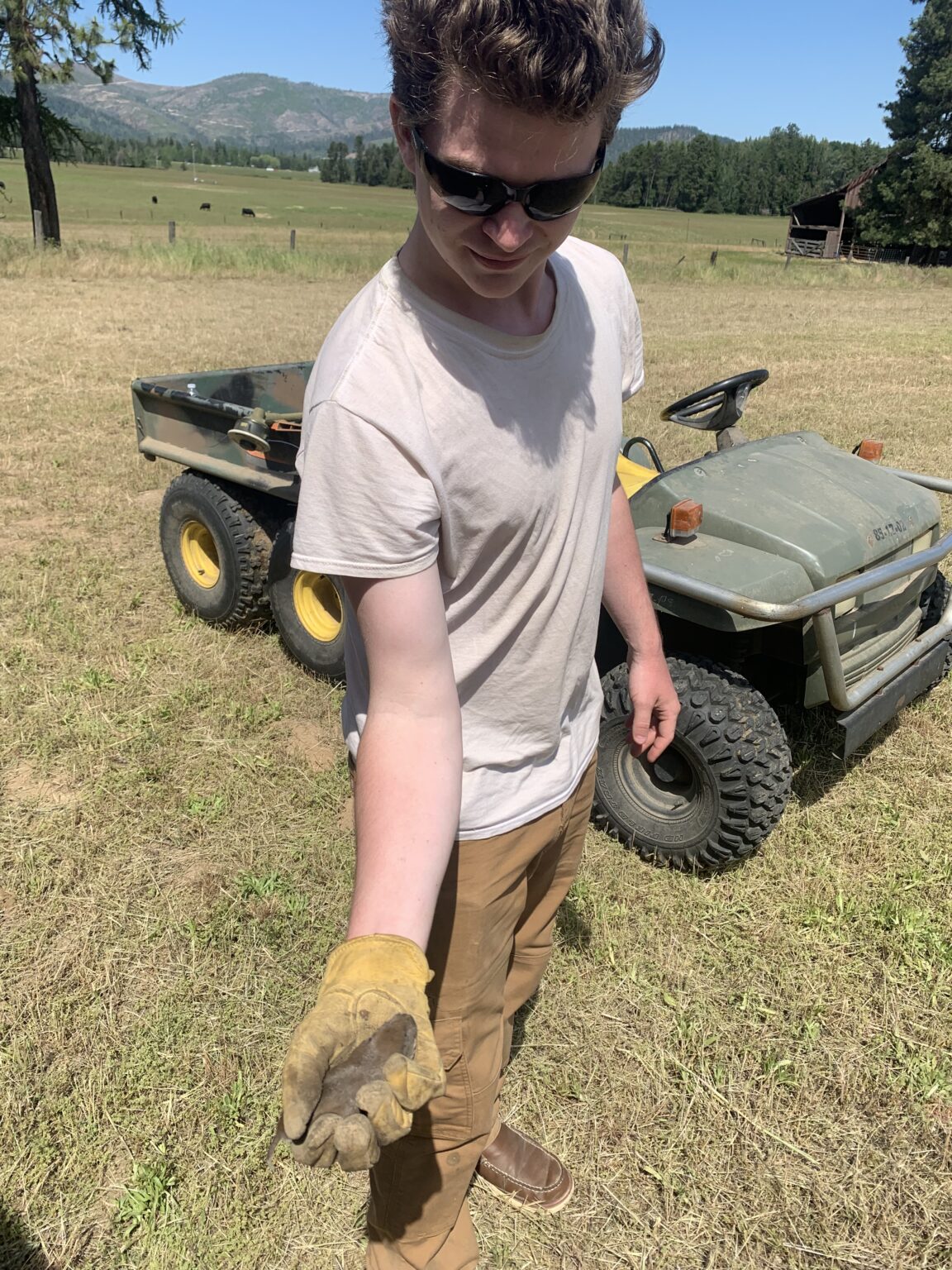 Student intern documents wildlife while living on rural WSU farm | WSU ...