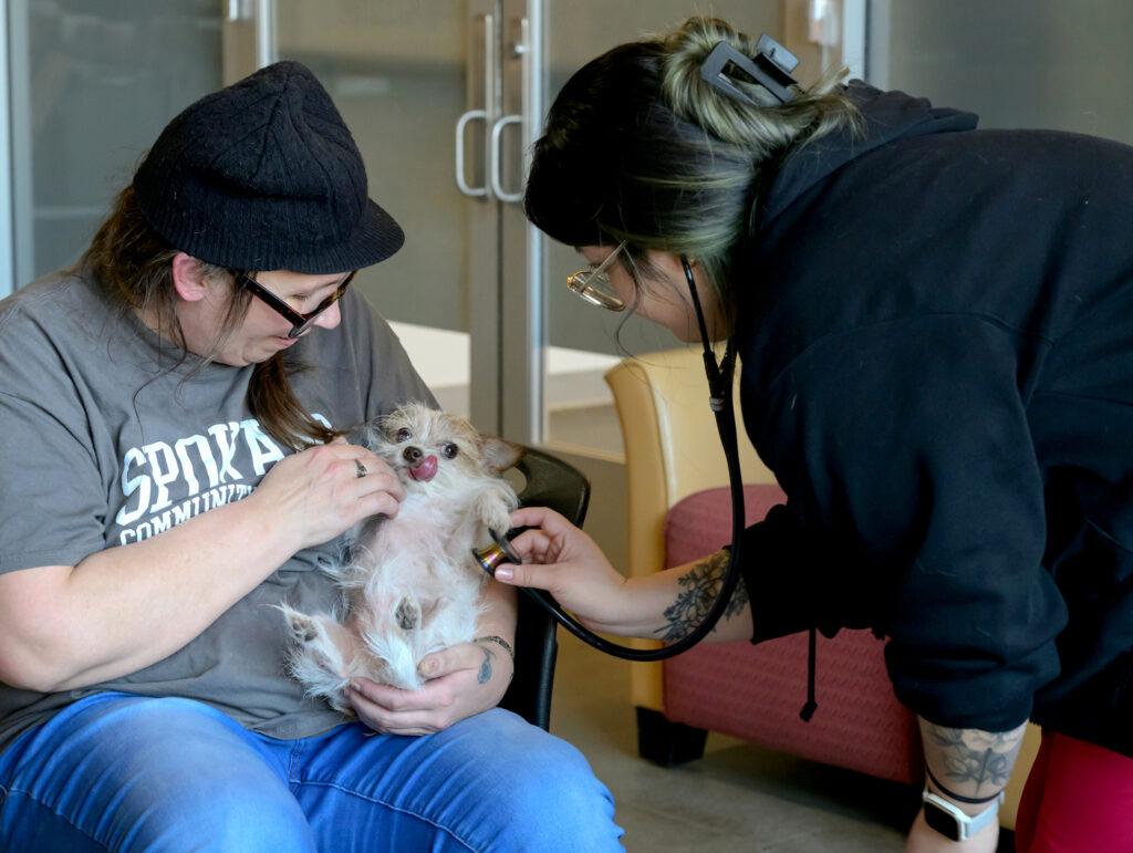 WSU wellness clinic offers care to people and their pets | WSU Insider ...
