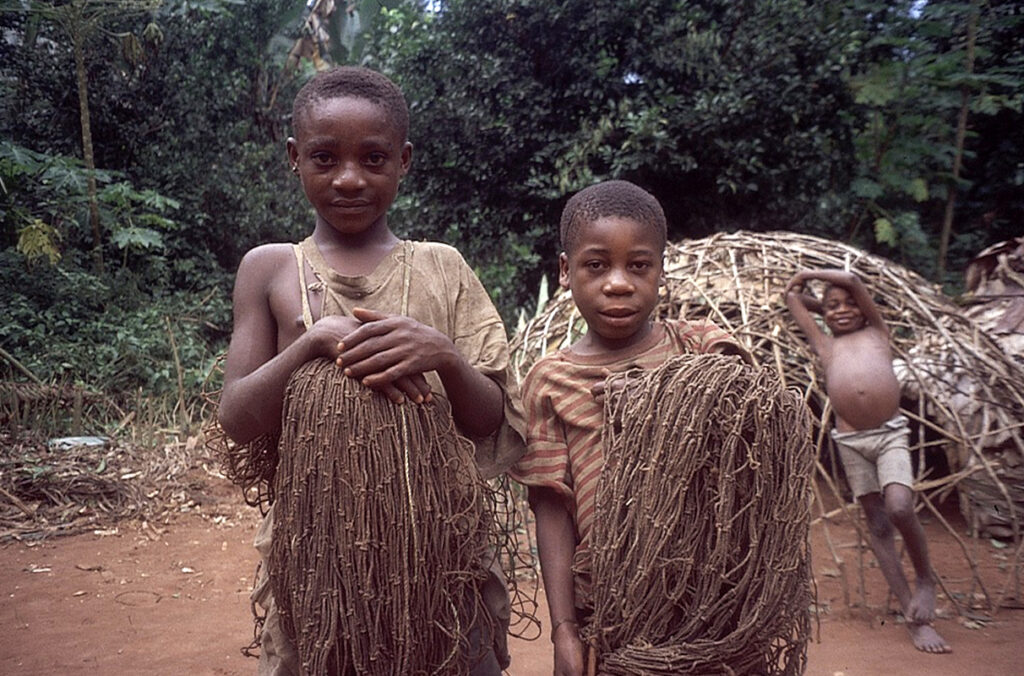 Study helps explain how children learned for 99% of human history | WSU ...