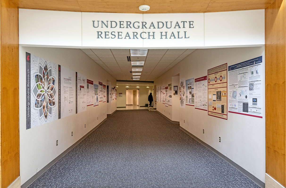 Undergraduate Research Halls open in Terrell, Owen Libraries Nov. 8 ...