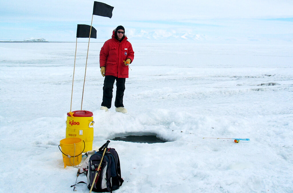 Investigation of vulnerable Antarctic fish recognized for distinguished scholarship | WSU ...