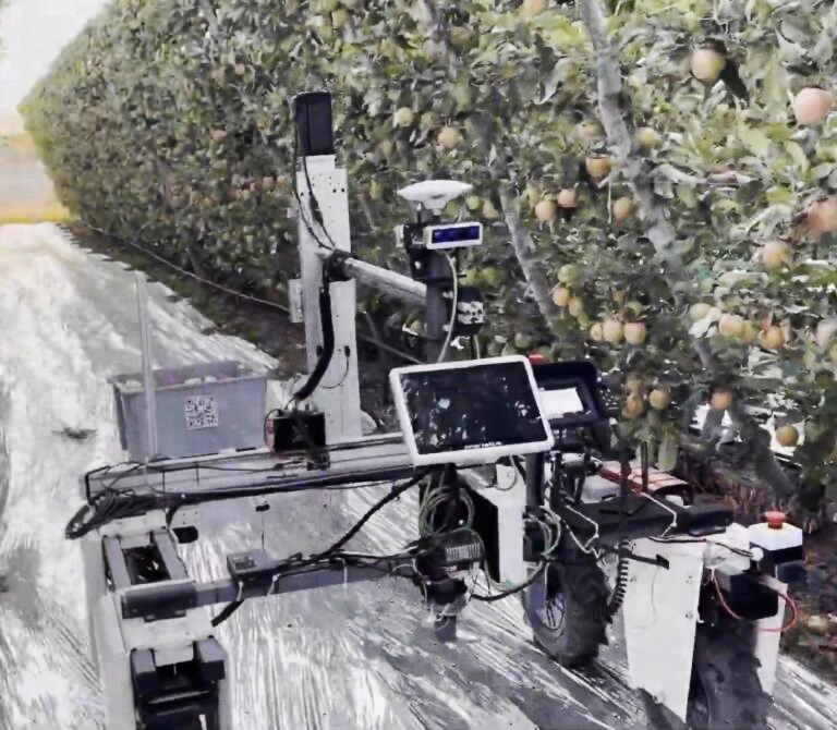 WSU students land award for fruit bin-hauling robot | WSU Insider ...