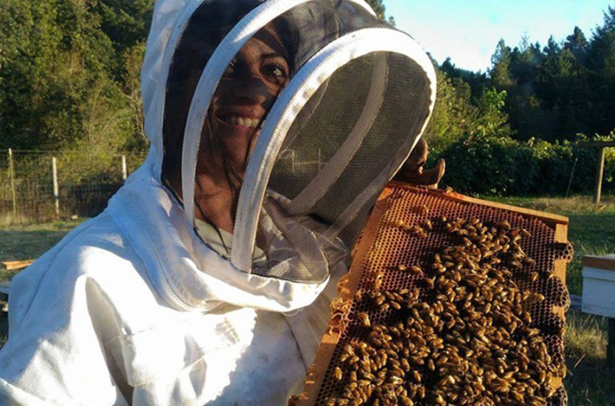 WSU bee scientist hosting international pollinator conference in ...