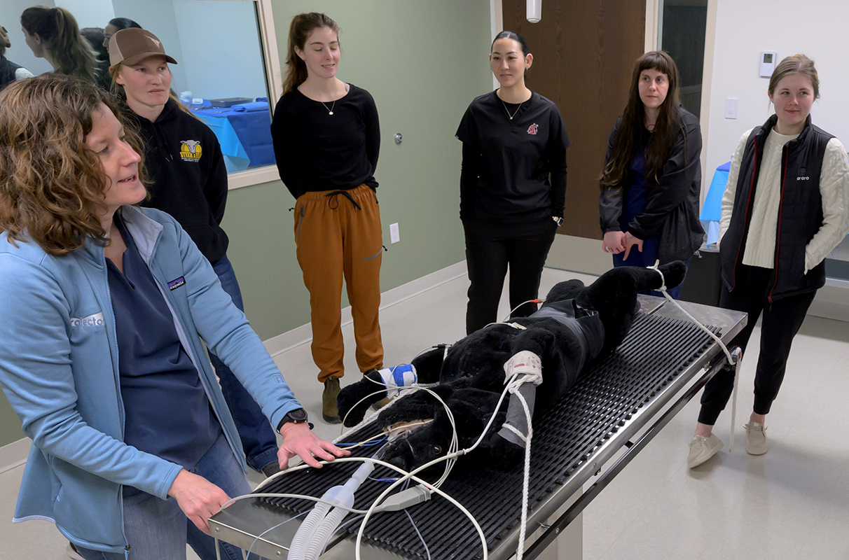 WSU opens new simulation center after $8 million renovation | WSU ...
