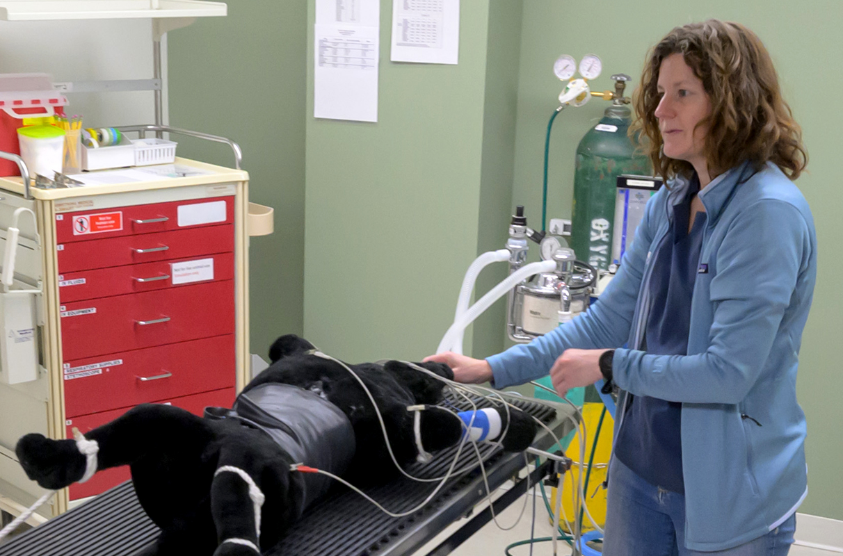 WSU opens new simulation center after $8 million renovation | Office of ...