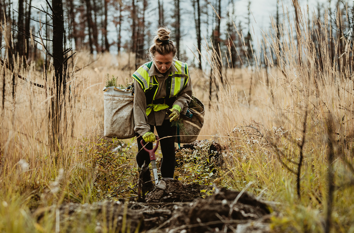 Jan. 24: Family Foresters Workshop to enhance special skills supporting ...