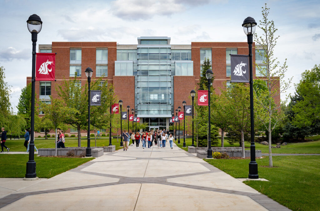 WSU Health Sciences selected as member of ARPA-H Investor Catalyst and ...