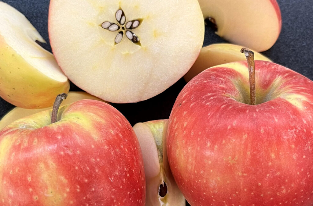 Humanities Washington speaker discusses history of Washington apples ...