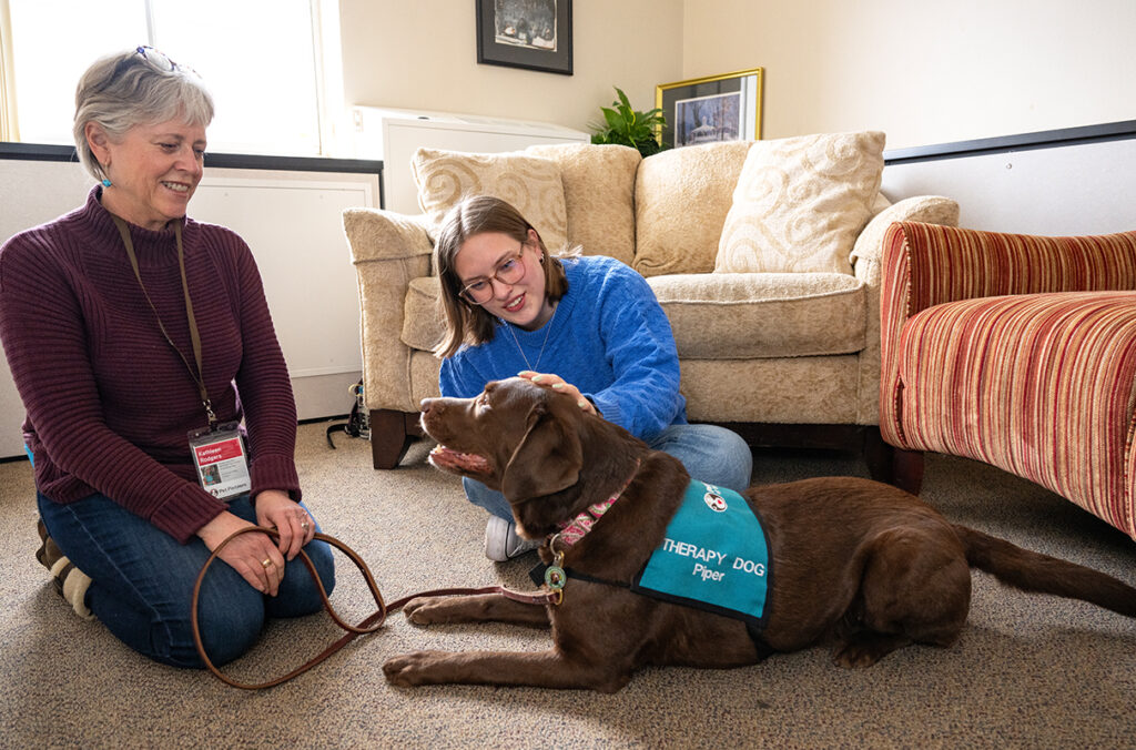 Regular access to therapy dogs boosts first-year students’ mental ...
