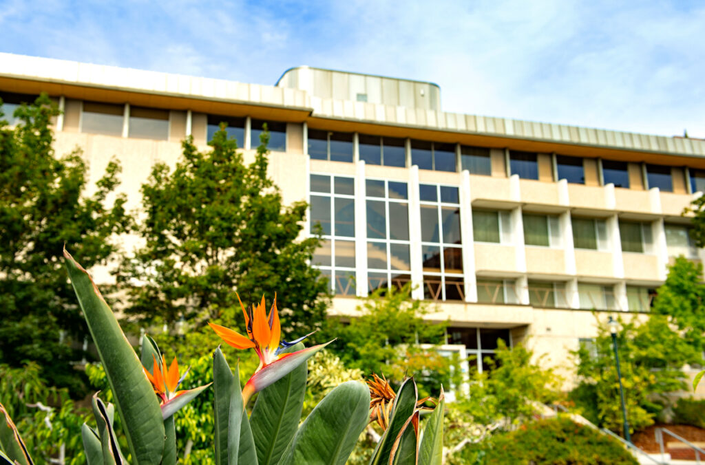 New name, longtime legacy for College of Education, Sport, and Human ...