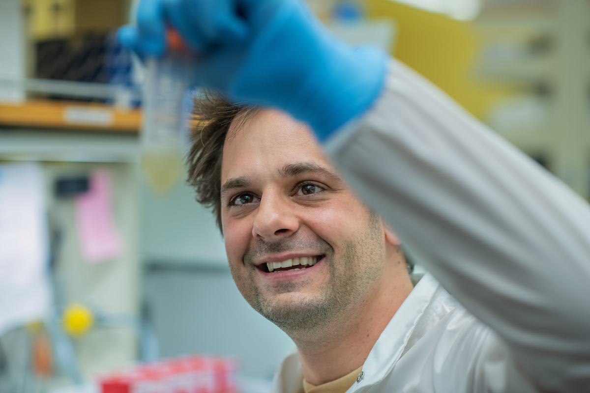 Bat cells could aid in fighting humans’ most deadly diseases | WSU ...