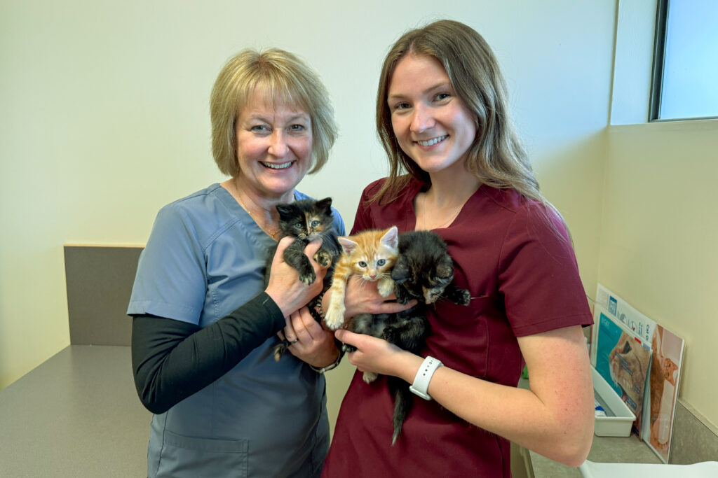 Veterinary student finds greatest mentor in her mom | Office of ...