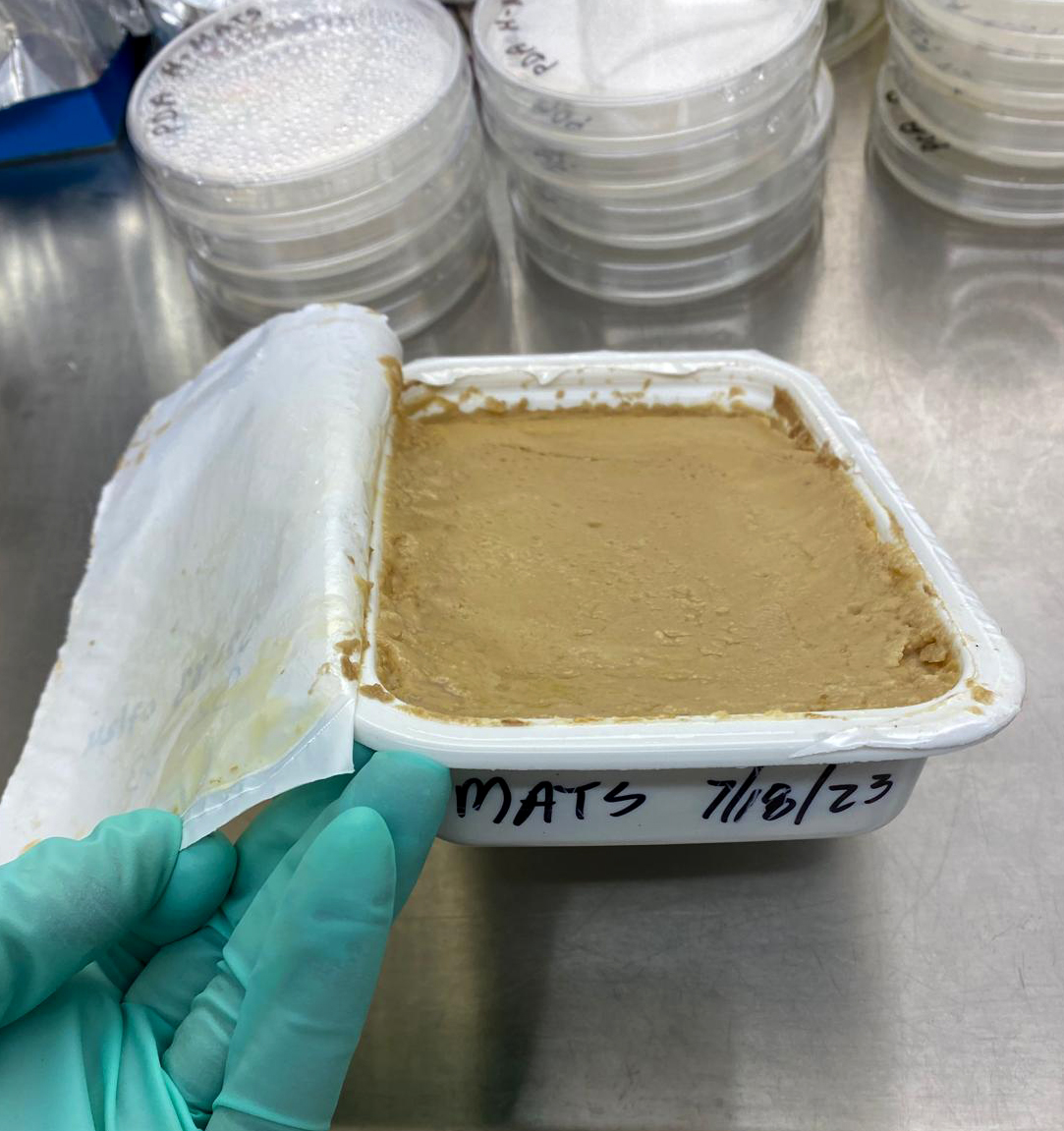 Microwave technologies give hummus longer shelf life, eliminate ...