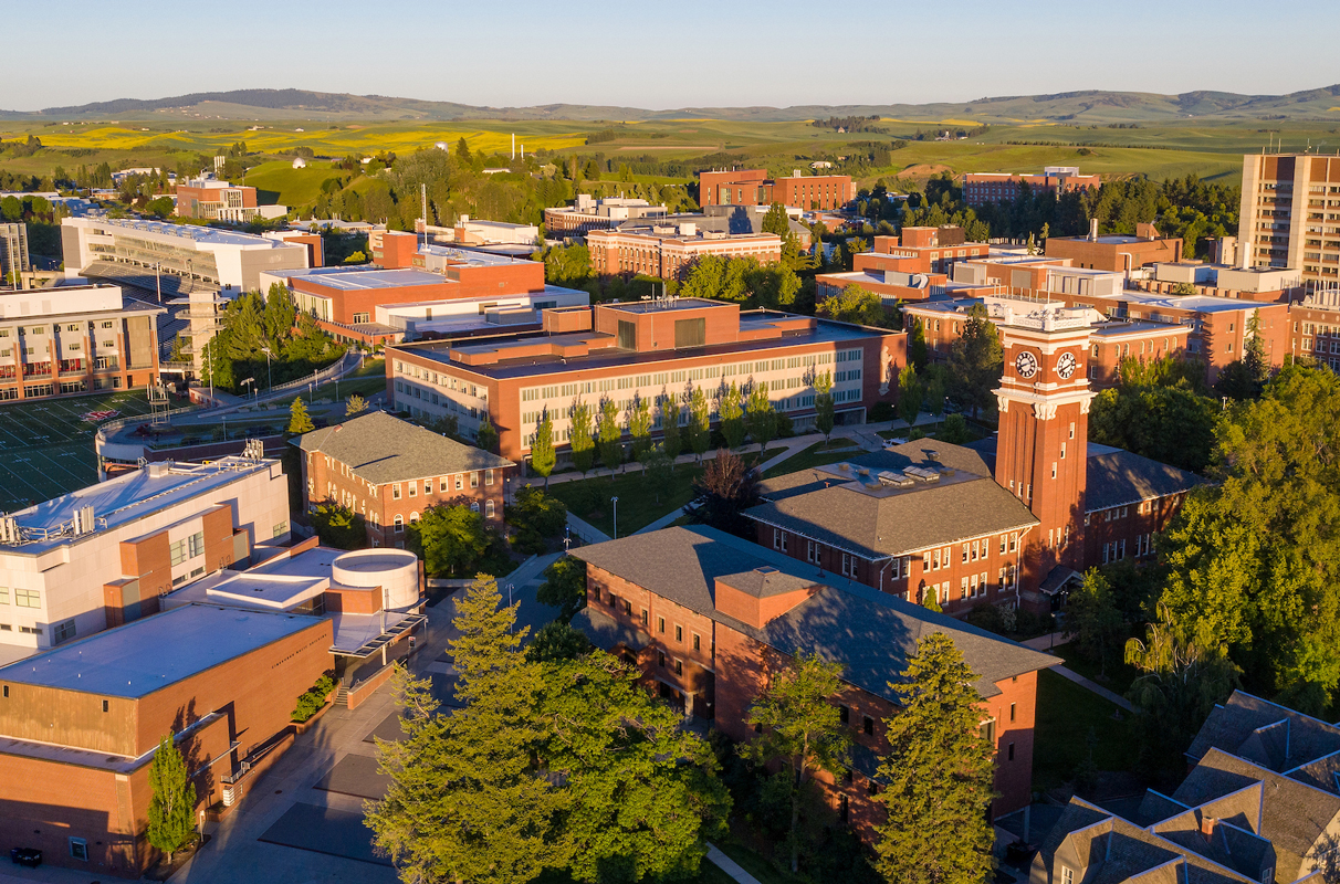 WSU shines in Princeton Review rankings, secures top spot for student satisfaction | WSU Insider ...