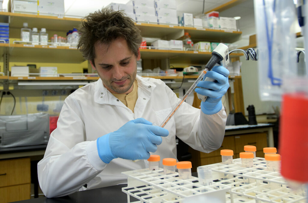 Bat viruses similar to MERS have potential to jump to humans | WSU ...