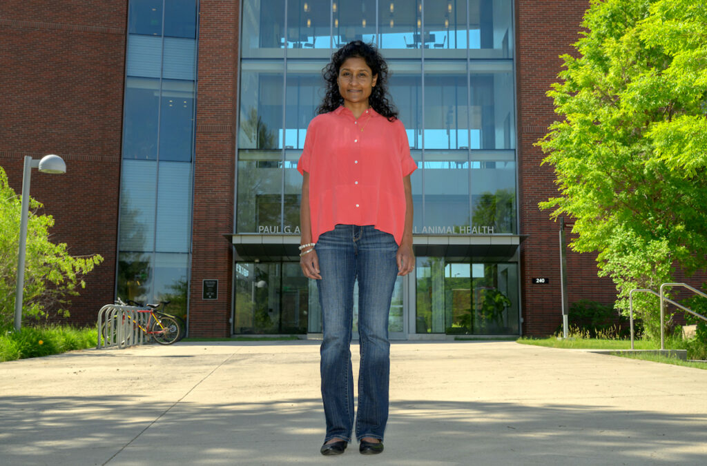 Viveka Vadyvaloo named director of Allen School for Global Health | WSU ...