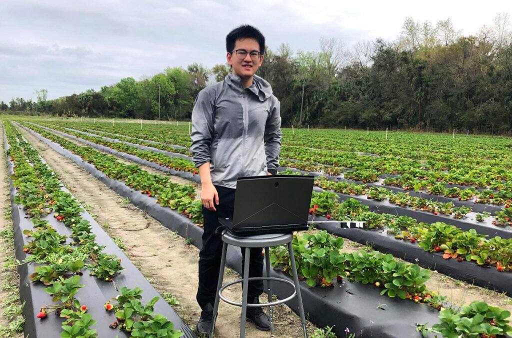 Researchers design robot that can pick hidden strawberries | Office of ...