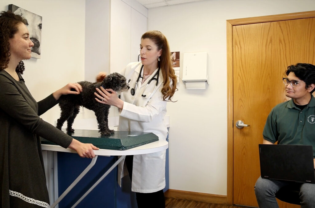 WSU offers veterinary certificate program for high school students ...