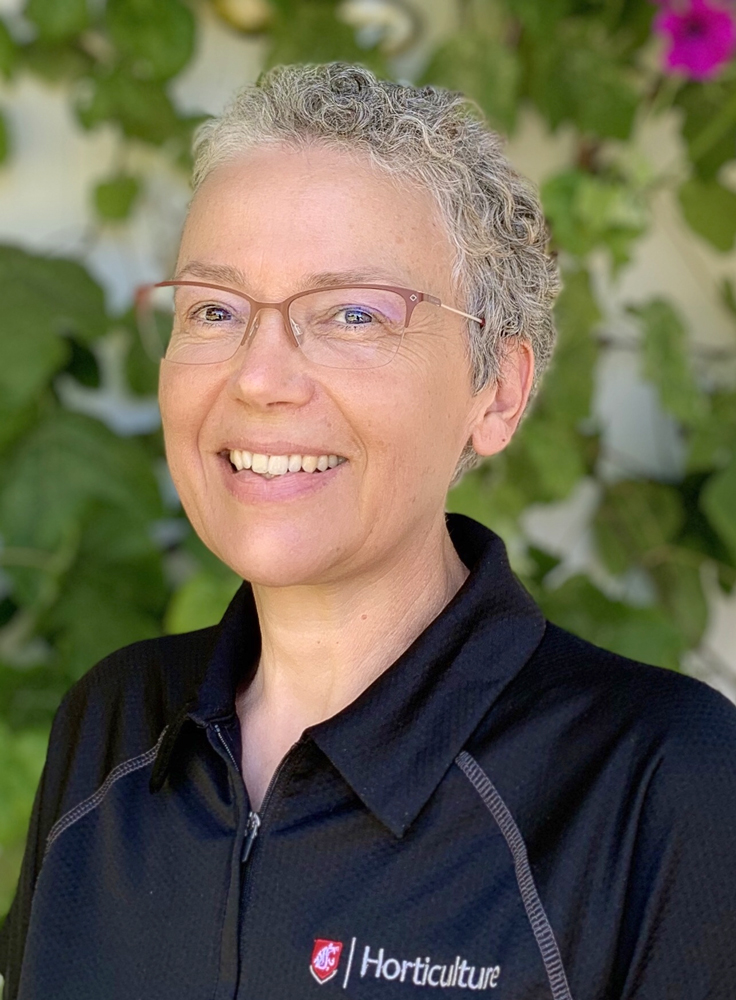 Help name WSU’s new apple in online contest | WSU Insider | Washington ...