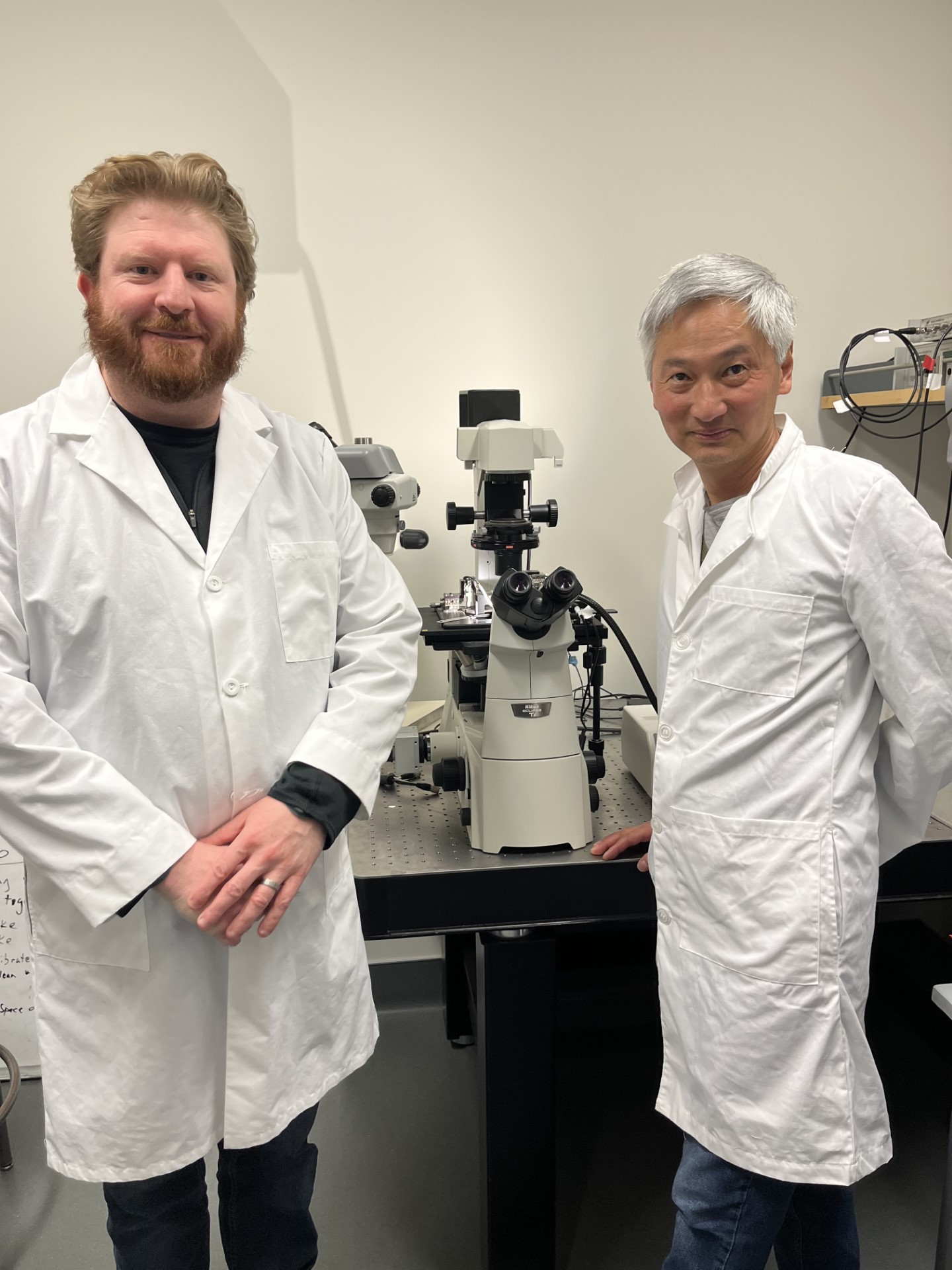 NSF grant will improve understanding of movement in people and animals ...