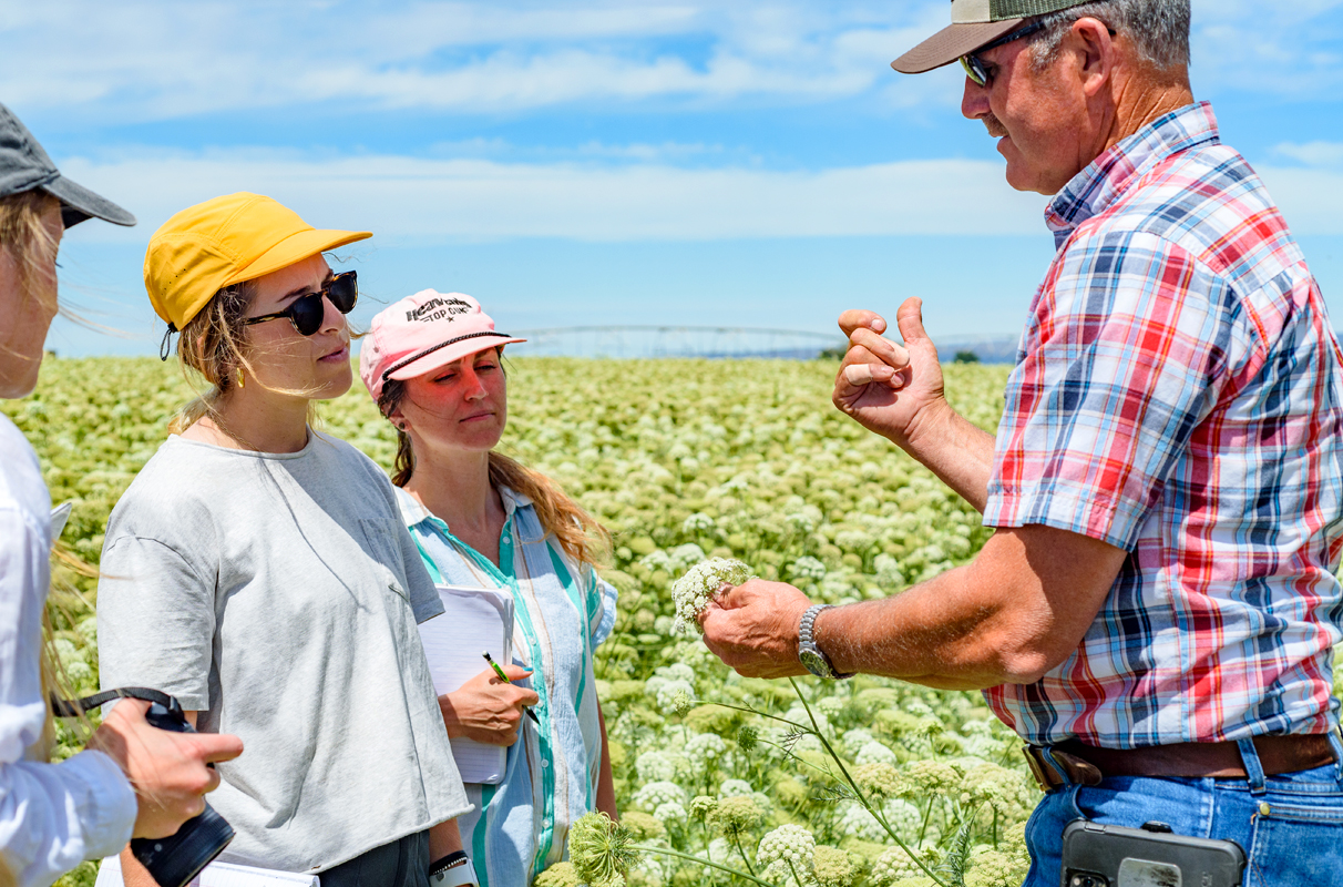 Experiencing agriculture firsthand | WSU Insider | Washington State ...