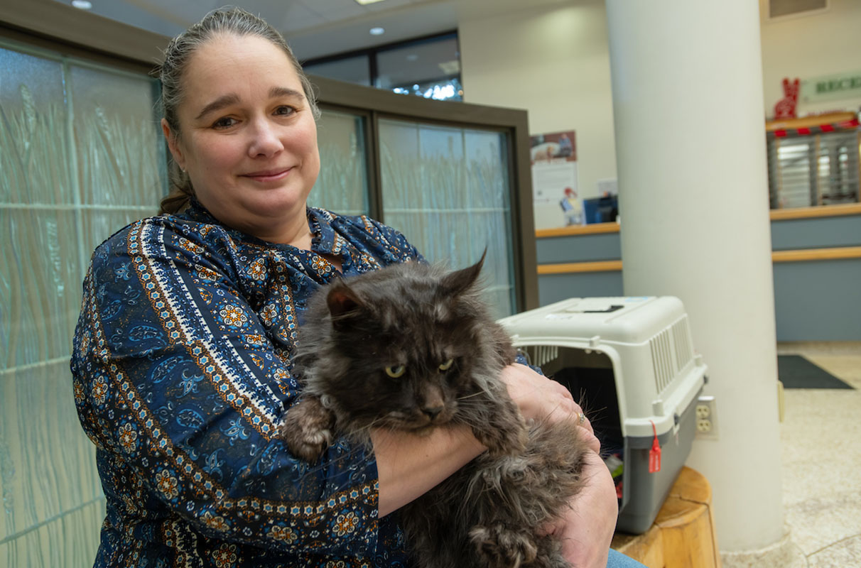 New reproductive service preserves cat genetics for years to come | WSU ...