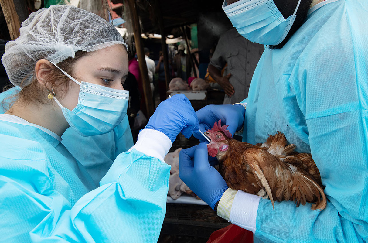Nairobi six‑week study abroad puts emphasis on research | WSU Insider ...