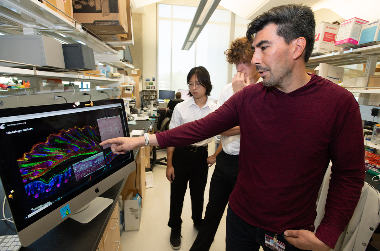 WSU students create database to accelerate skin science | WSU Insider ...