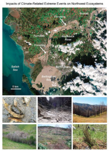 WSU scientists highlight Northwest climate risks in national report ...