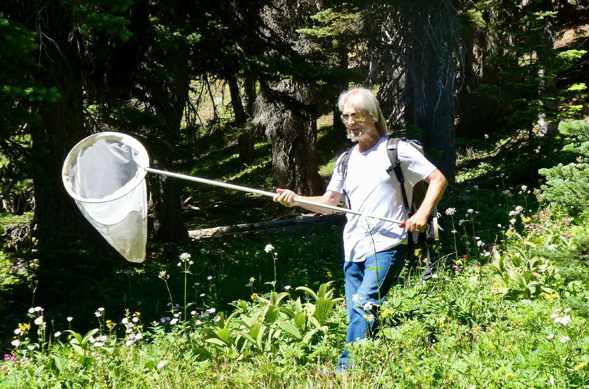 New butterfly book culmination of author’s lifelong work | WSU Insider | Washington State University