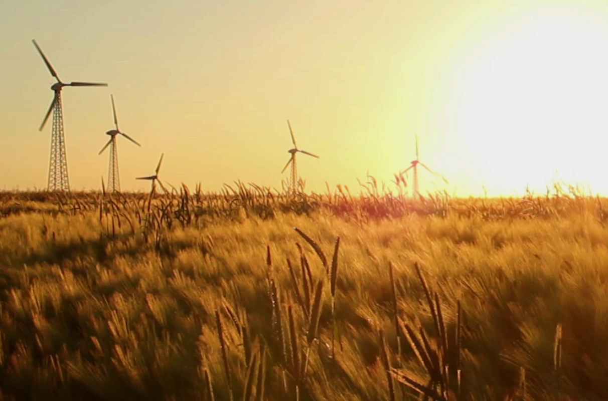 WSU research addresses climate change on multiple fronts | WSU Insider ...