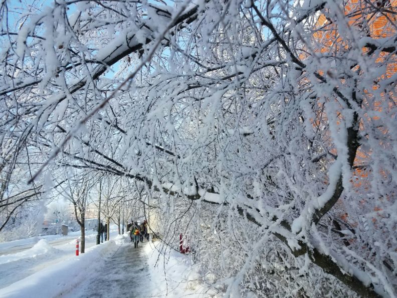 Big weather warmup could cause hazards this week | WSU Insider ...