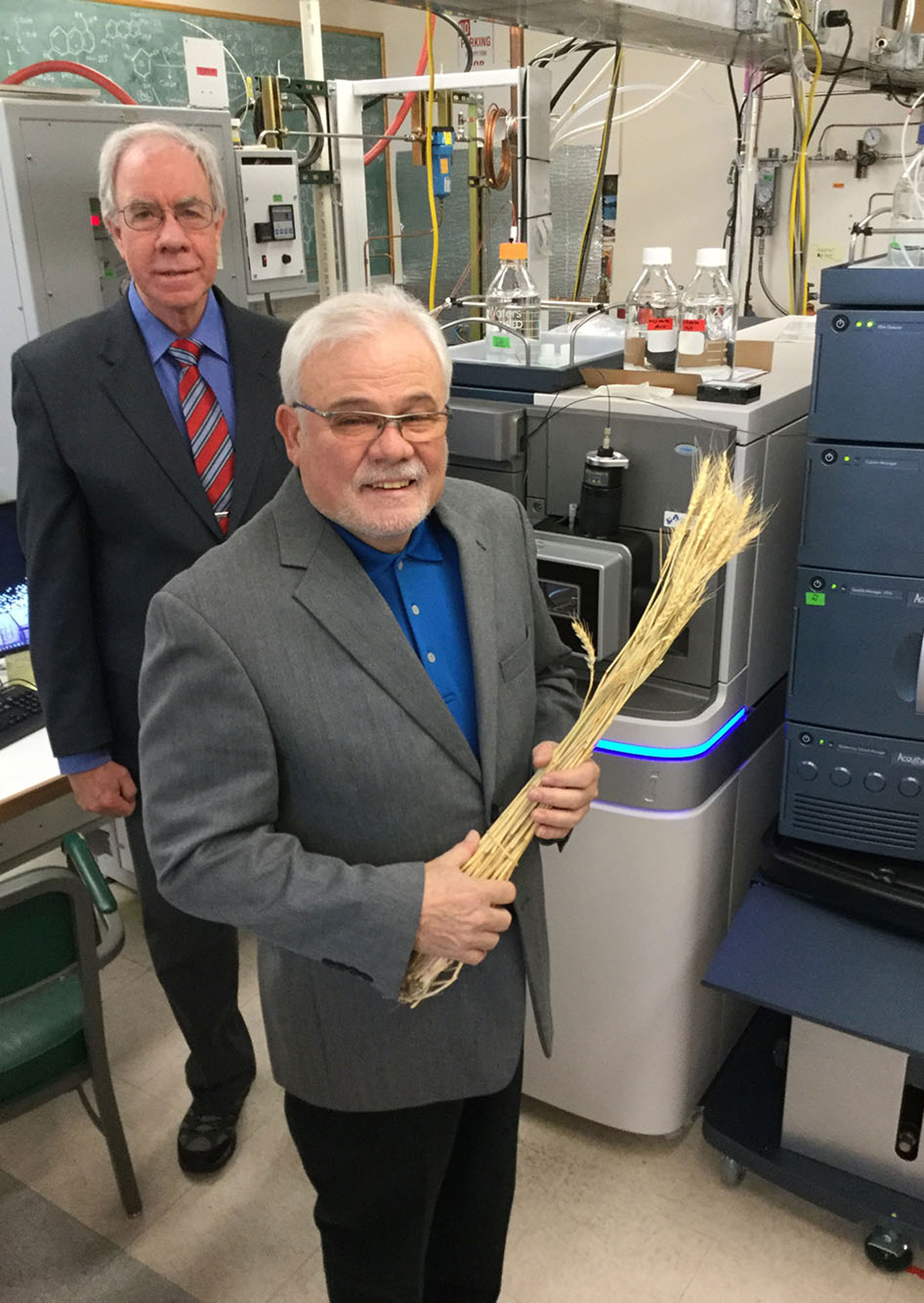 March 21: Symphony of soil signals protects wheat health | WSU Insider ...