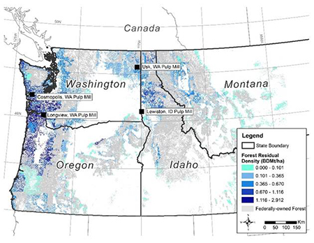 Slash and build: Study aids forestry biofuel industry | WSU Insider ...