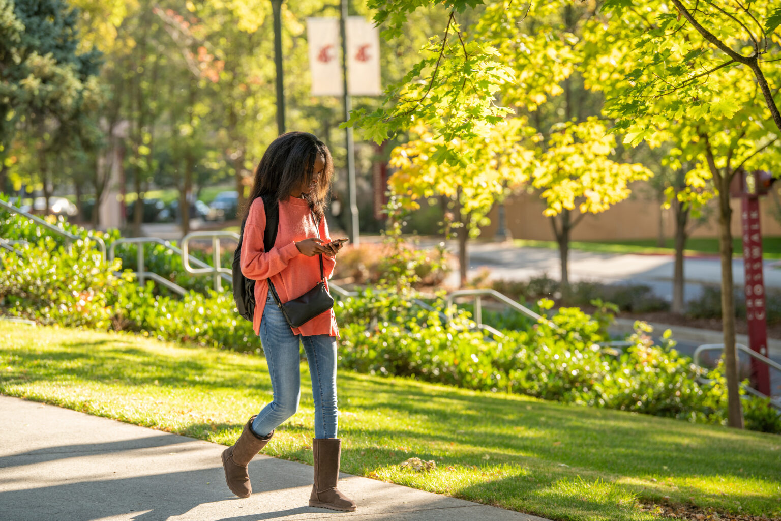 Preview Events | Admissions | Washington State University